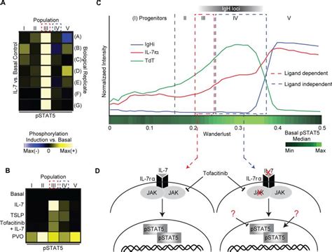 Single Cell Trajectory Detection Uncovers Progression And Regulatory