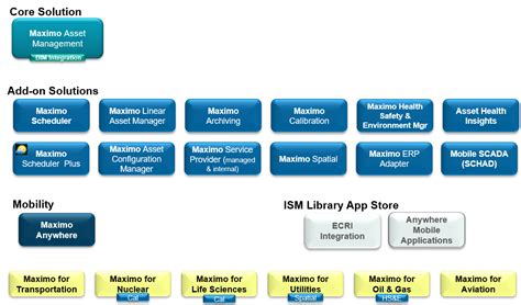 ibm maximo implementation services