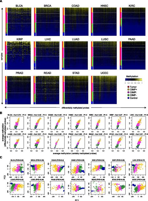 Cimp And Cimp− Samples Across Cancer Types A Heat Maps Showing