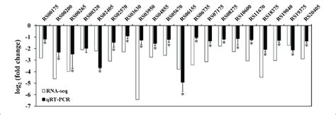 Confirmation Of Rna Seq Results Using Qrt Pcr White Bars Represent