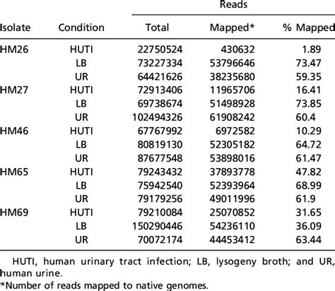 Summary Of Rna Seq Reads And Alignment Download Table