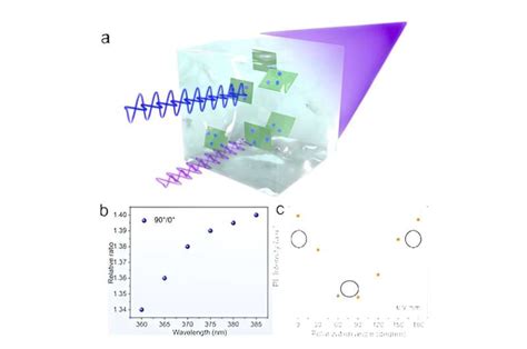 Polarized Hetero Structured Luminant The Marriage Of 2d Materials