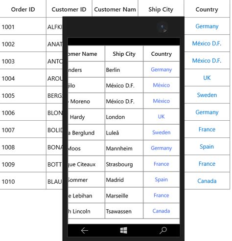 column types in uwp datagrid control syncfusion