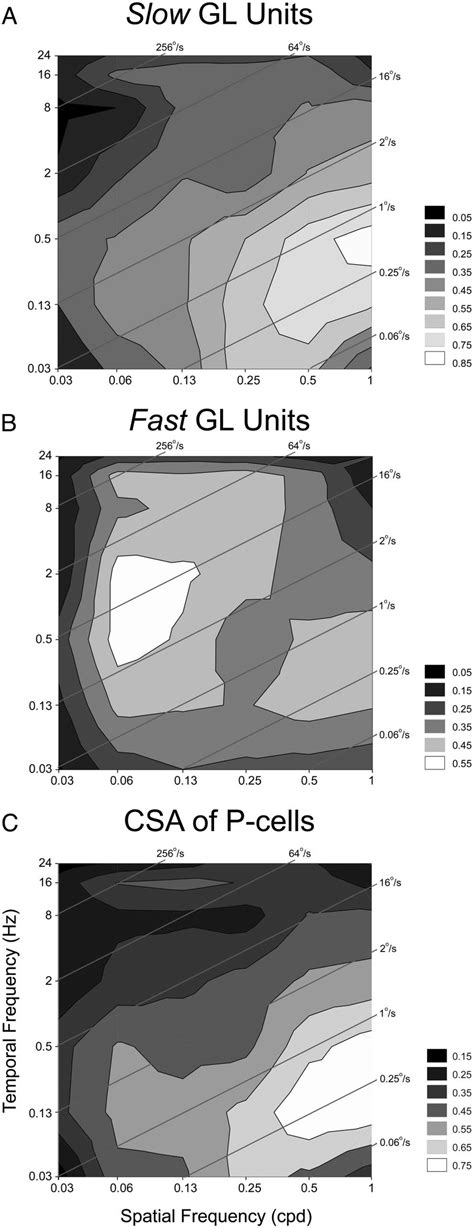 Normalized Average Contour Plots Of Spatiotemporal Tuning A C The