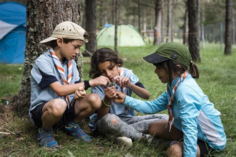 Cuáles Son Los Diferentes Tipos De Campamentos Campingalmocita