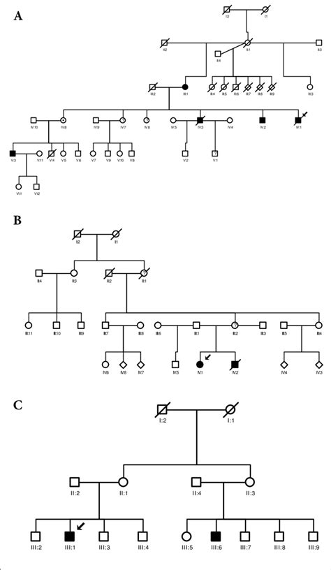Pedigrees And Mode Of Inheritance Pedigree Analysis Of The 29 Families