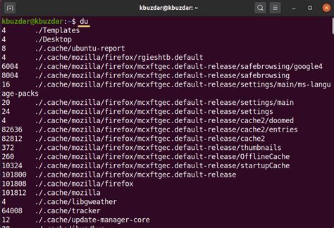 check directory size in linux