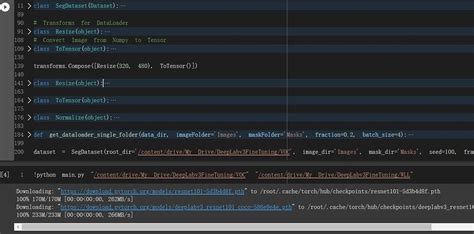 wrong with dataloader pytorch forums