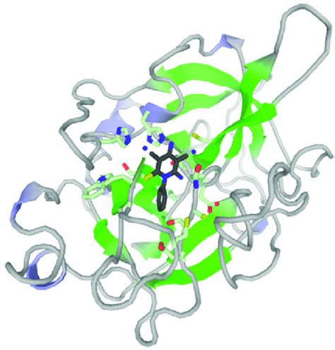 Predicted Structure Of The Protein Ligand Complex Of Compound 2 And
