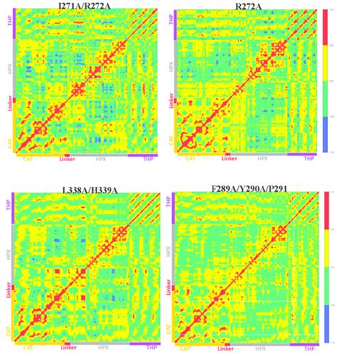 The Dynamic Cross Correlation Analysis Dcca Of Mmp 1 Bulletthp And