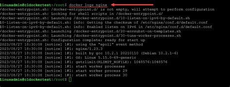Docker Logs Tail Troubleshoot Docker Containers With Real Time Logging