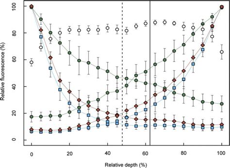 Plantae The Spatial Distribution Of Chlorophyll In Leaves Plantae