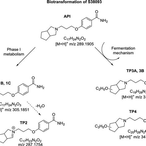 S38093 And Other Potential Non Imidazole Histamine H3r Antagonists