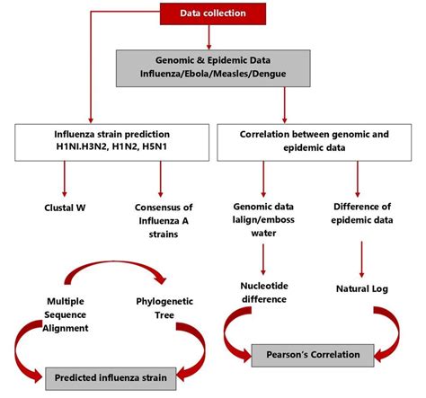 Schematic Diagram Of Methodology Followed In This Research Download