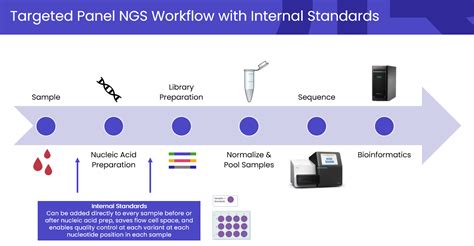 Next Generation Sequencing Workflow