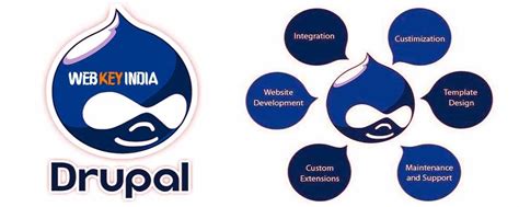drupal development drupal web development company in delhi india