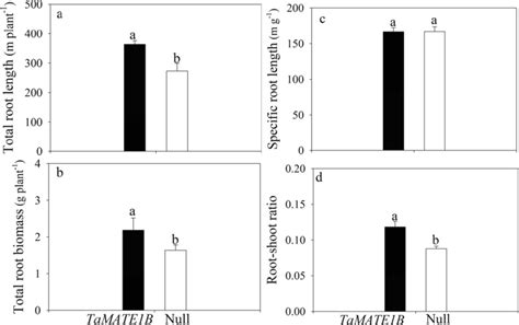 A Total Root Length B Root Biomass C Specific Root Length And