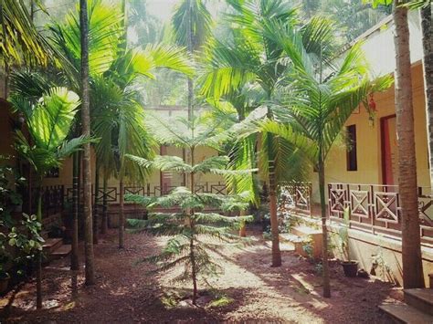 Naughty Waves Beach Resort Bewertungen And Fotos Diveagar Indien