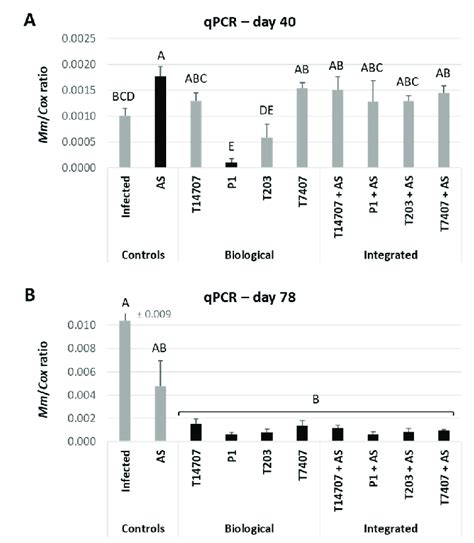Real Time Pcr Based Monitoring Of The Relative Amount Of M Maydis Dna