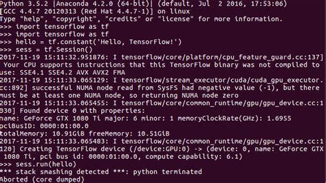 stack smashing detected on a different partition kasapcare
