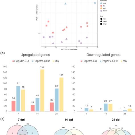Exploratory Analysis Of Transcriptomic Data A Principal Component