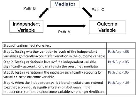 Steps For Testing A Mediator Effect Download Scientific Diagram