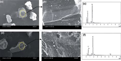 Scanning Electron Microscopy Sem And Energy Dispersive X Ray