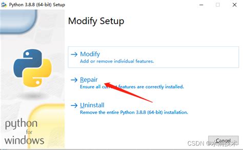 12 成功解决：no python 3 installation was detected 卸载no python