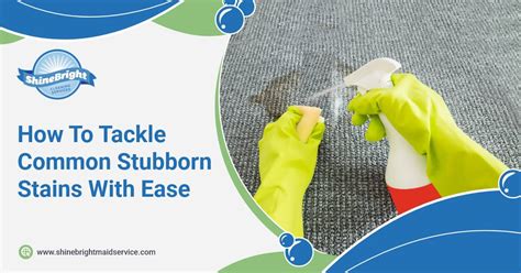How To Tackle Common Stubborn Stains With Ease Shine Bright Maid Services