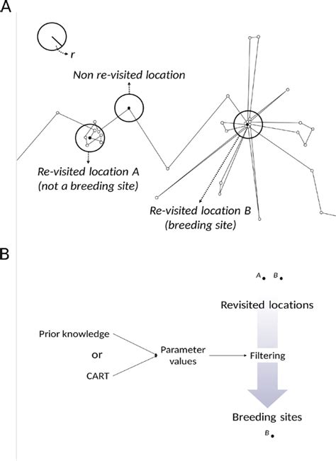 Analysis Of Movement Recursions To Detect Reproductive Events And