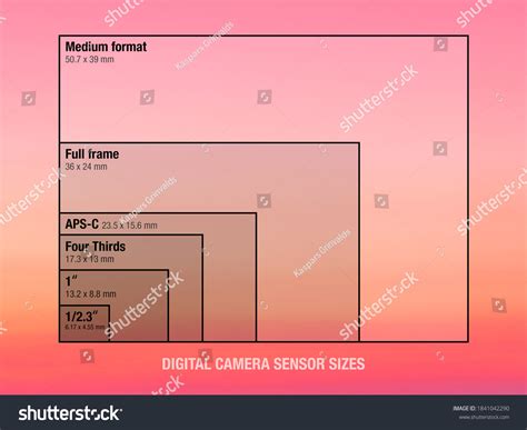 Digital Camera Sensor Sizes Comparison Stock Illustration 1841042290