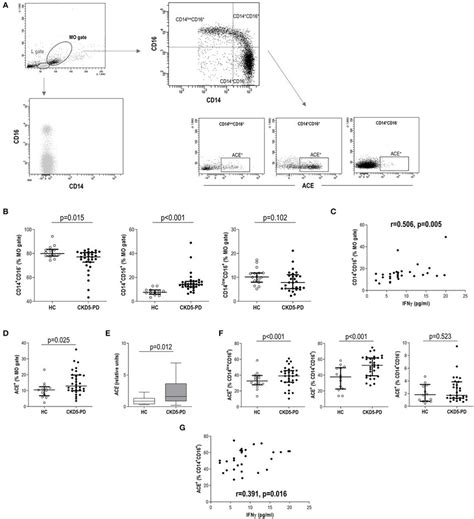 Analysis Of Monocyte Subsets And Angiotensin Converting Enzyme Ace