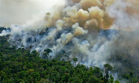 Queimadas Na Amazônia Batem Novo Recorde E Ficam Atrás Apenas De Agosto