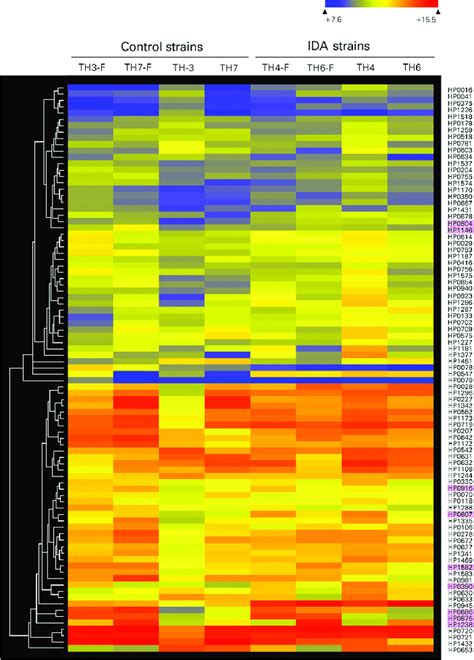 Hierarchical Cluster Analysis Of Gene Expression Alteration Of Control