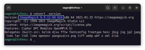 install imagemagick on ubuntu