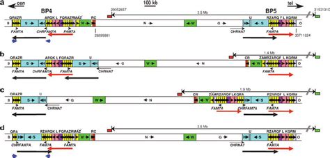 Potential And Actual Inversion Polymorphisms Affecting Chrna7