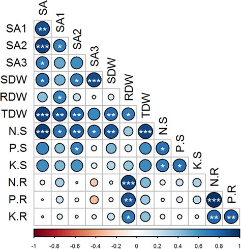 Phenotypic Correlations Between Root Morphology Dry Weight And