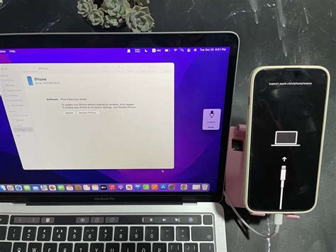How To Put Iphone In Recovery Mode When Disabled [unlocking Steps