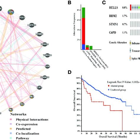 Interaction Network And Genetic Alterations Of Four Hub Frgs In Hcc