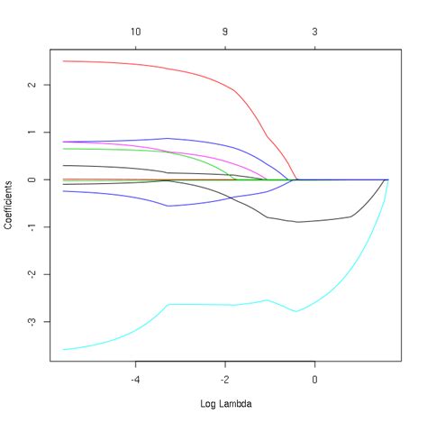 regression what to conclude from this lasso plot glmnet cross