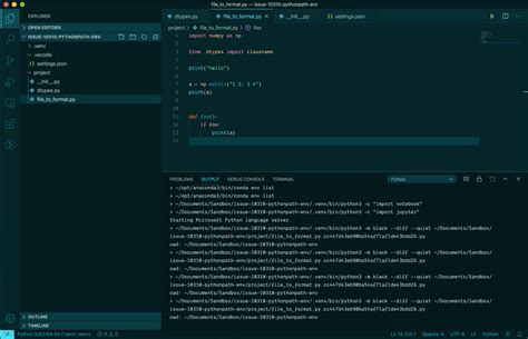 black formatter and pytest fail with env in python · issue 10310