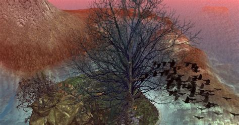 honour s post menopausal view sex with trees just another in the long
