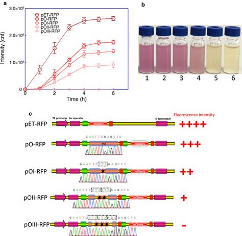 Effect Of Rare Codons In Orf1 On Mcherry Expression In Orf2 In E Coli
