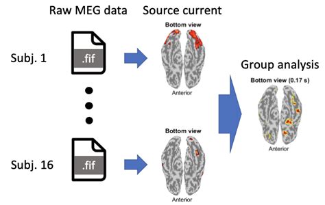 Meg Source Imaging And Group Analysis