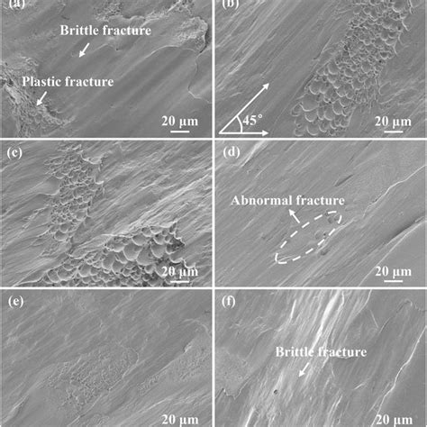 Fracture Morphology Of Compressed Specimens A No 0 B No 2 C