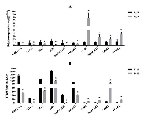 Qrt Pcr Corroboration Of Rna Seq Results A The Qrt Pcr Result B