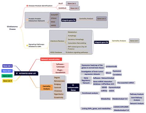 Cancers Free Full Text Integrating Multi Omics Analysis For