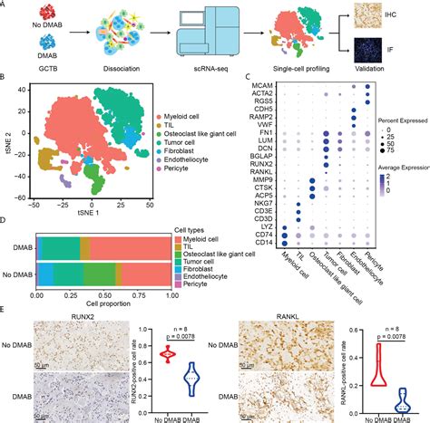Frontiers Single Cell Transcriptome Analysis Reveals T Cell