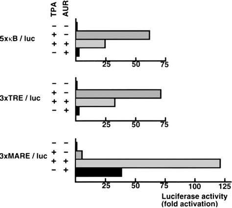 Effects Of Tpa And Aur On Multiple Cis Regulatory Elements Relative