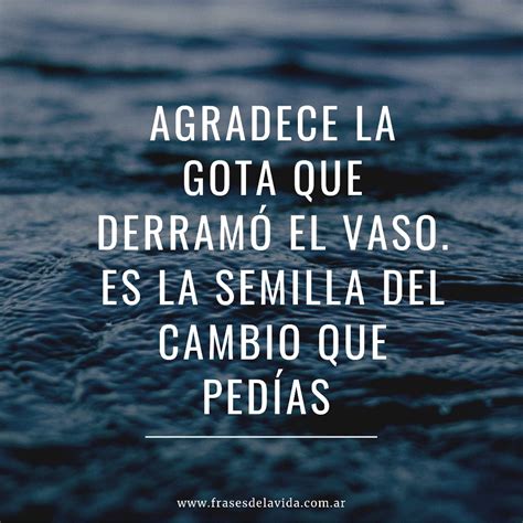 Agradece La Gota Que Derramó El Vaso Frases De La Vida